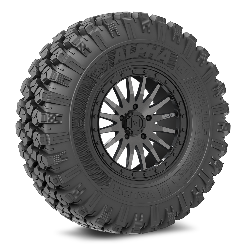 V06 Brushed Gunmetal beadlock UTV wheels on Alpha UTV Tires – SXS ...